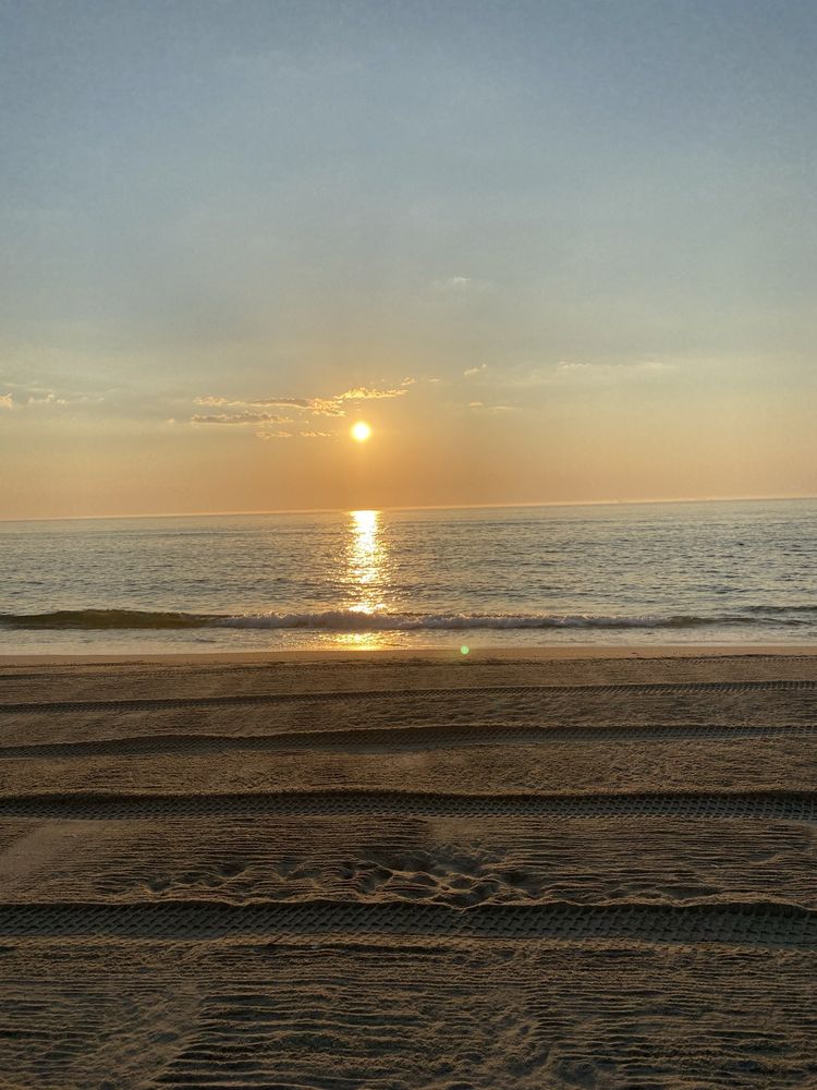 LB MAGNIFICENT TRAVEL AGENCY - Updated June 2025 - Memphis, Tennessee ...