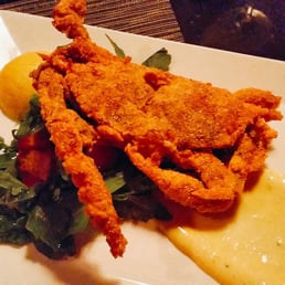 THE BLUE POINT - Updated December 2025 - 592 Photos & 675 Reviews ...