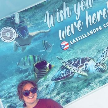 EAST ISLAND EXCURSIONS - Updated June 2025 - 527 Photos & 401 Reviews ...