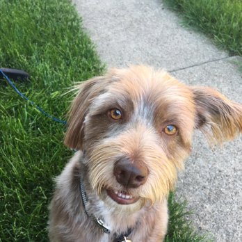 STYLE MUTT - Updated December 2025 - 33 Photos & 74 Reviews - 3525 ...