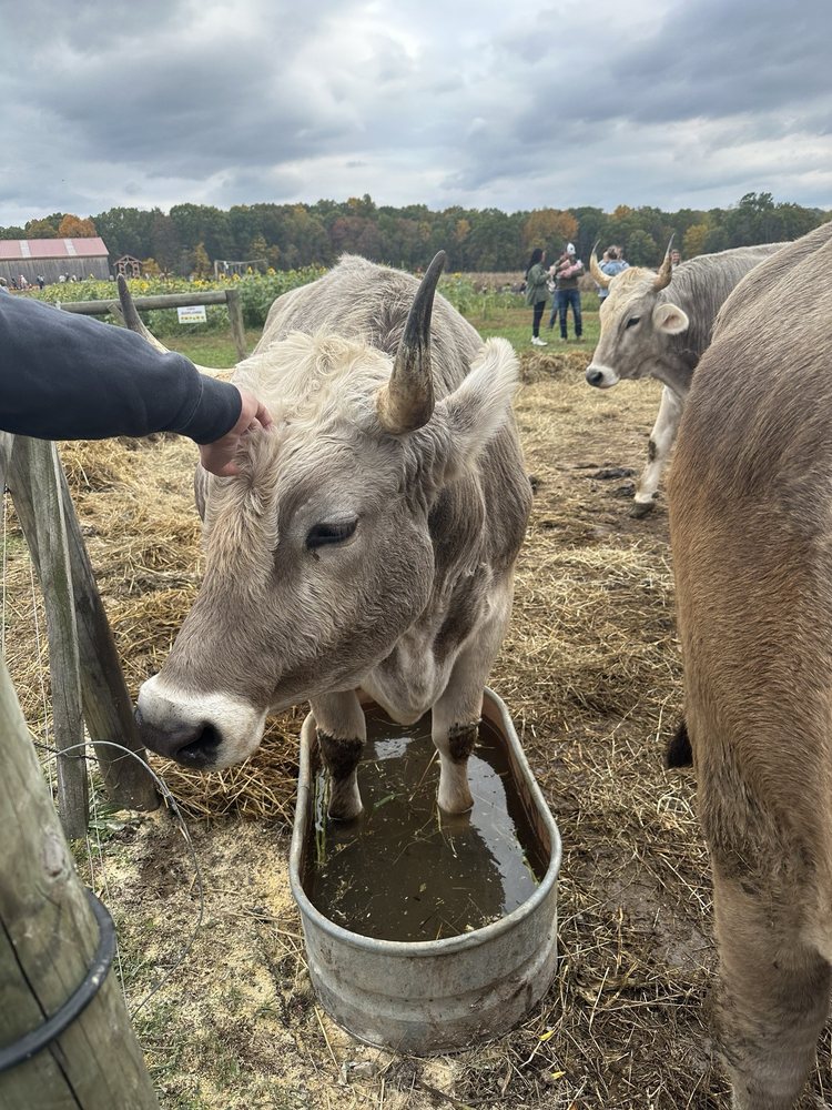 FREEDOM FARMS FARMERS MARKET - Updated March 2025 - 20 Photos & 36 ...