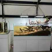 CK FISH WORLD - 358 Photos & 372 Reviews - 541 North Azusa Ave, West ...