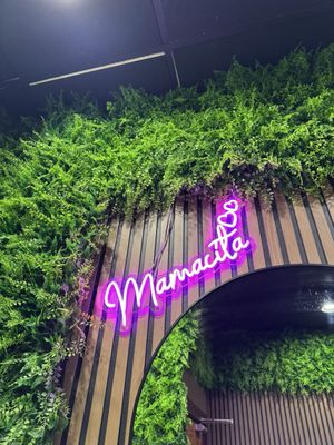 TORO MAMBO COCINA MEXICANA - Updated June 2025 - 26 Photos & 33 Reviews ...