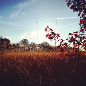 PRATHER PARK - Updated October 2025 - 90 Photos & 10 Reviews - 12575 ...