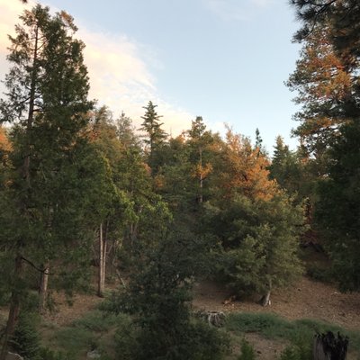 FERN BASIN CAMPGROUND - 42 Photos & 21 Reviews - Idyllwild, CA - Yelp