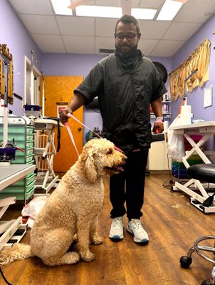 HAPPY WAGS MOBILE GROOMING - Updated September 2025 - 47 Photos ...