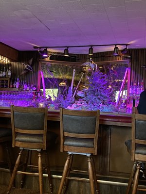 DUCK INN - Updated October 2025 - 153 Photos & 208 Reviews - N6214 ...