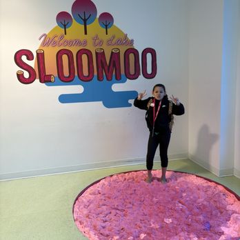 SLOOMOO INSTITUTE - CHICAGO - Updated May 2025 - 180 Photos & 61 ...