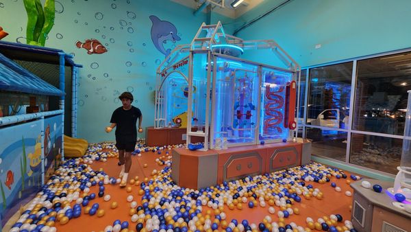 JUMP N PLAY - Updated October 2025 - 75 Photos & 50 Reviews - 31169 ...