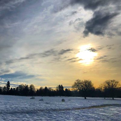 CHEESMAN PARK - 668 Photos & 187 Reviews - Franklin St & 8th St, Denver ...