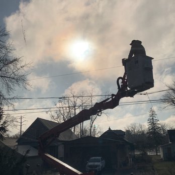 RED OAK TREE SERVICE - Updated January 2026 - 27 Photos & 22 Reviews ...