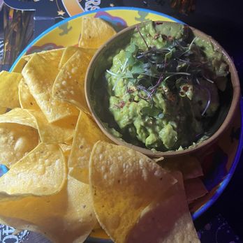 AGAVE MARIA - Updated March 2025 - 386 Photos & 152 Reviews - 170 ...