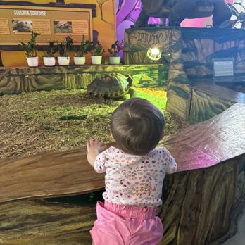 BIOMES - Updated September 2025 - 145 Photos & 87 Reviews - 6640 Post ...