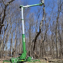 MLM TREE SERVICE - 30 Photos - 9917 Portage Rd, Portage, Michigan ...