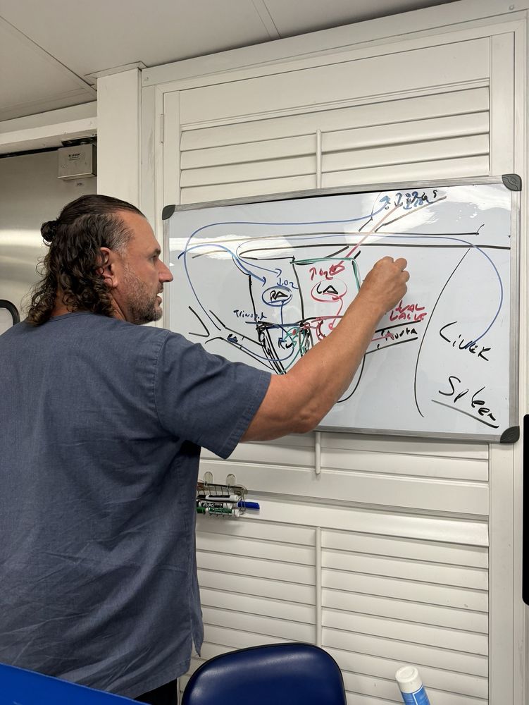 ROBERT PROSEK, DVM MS - Updated December 2025 - 11 Photos & 32 Reviews ...