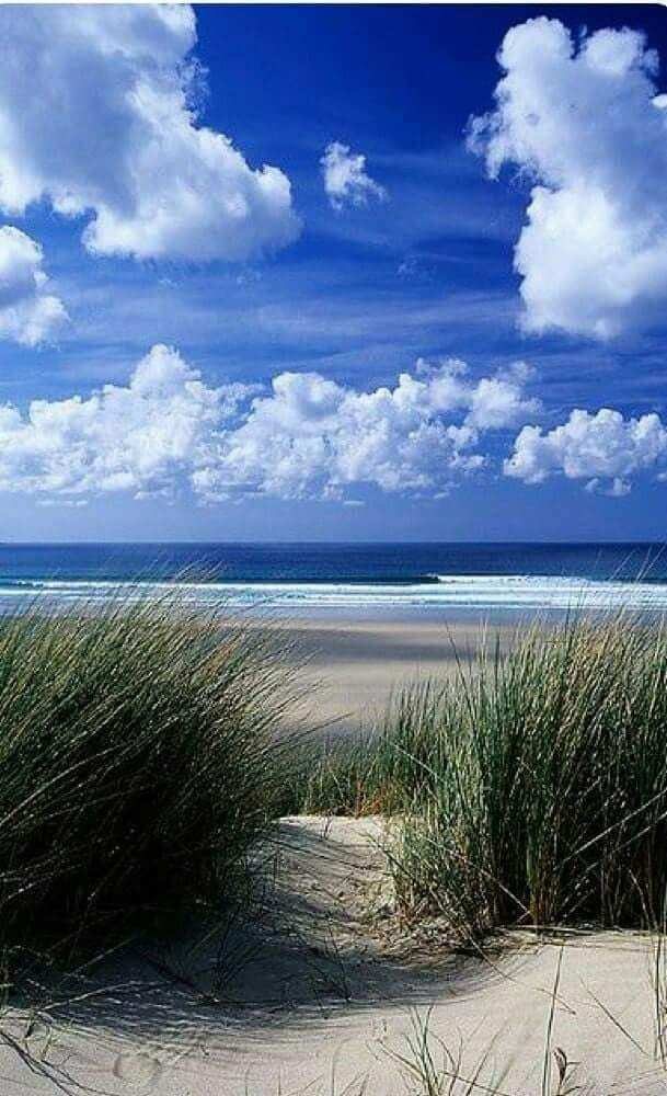 MEDITERRANEAN RENTALS - 4547 Cypress Village Blvd, Orange Beach ...