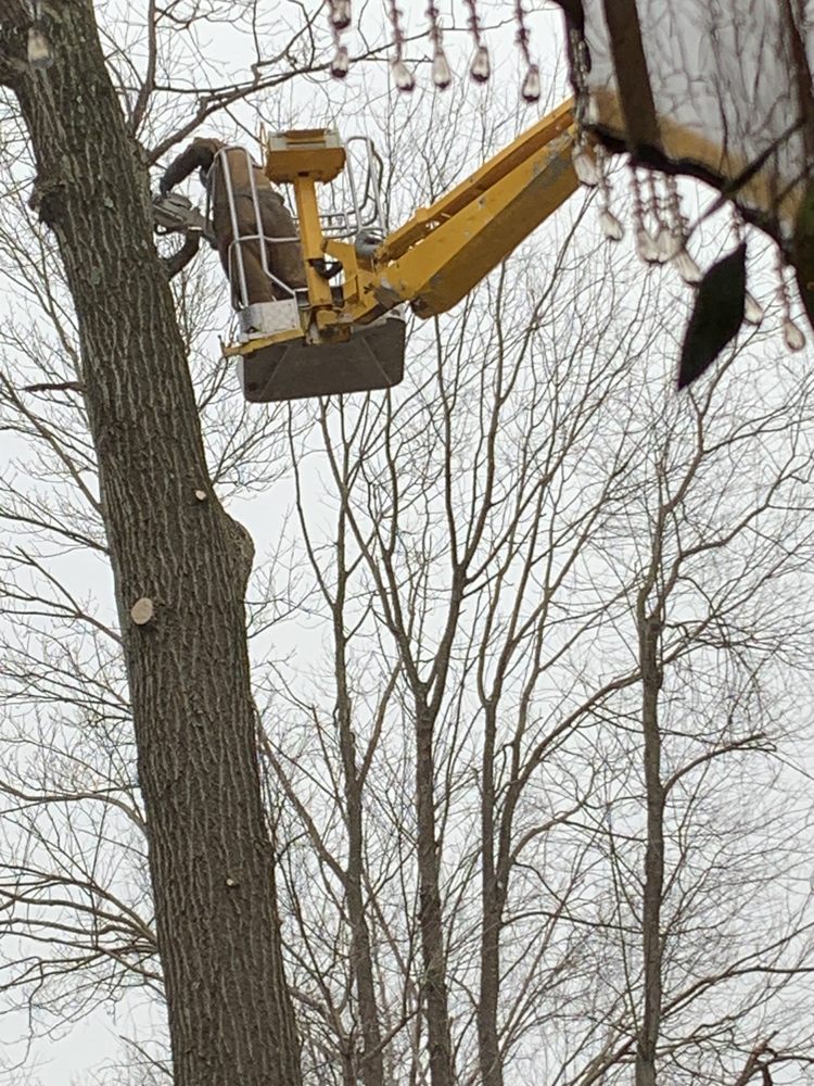 KEN WAGNER TREE - Updated November 2025 - 999 Meridian Rd, Renfrew ...