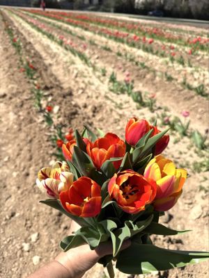 ATKINSON FARM - Updated December 2025 - 167 Photos & 74 Reviews - 3217 ...