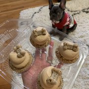 CAKED UP CAFE - 227 Photos & 184 Reviews - Bakeries - 40 S Main St, New ...