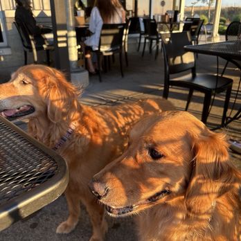 SCUTTLEBUTT BREWING COMPANY - Updated August 2025 - 584 Photos & 920 ...