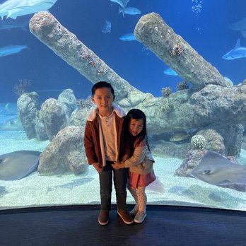 ABQ BIOPARK AQUARIUM - Updated April 2024 - 403 Photos & 113 Reviews ...