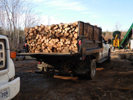 DAVID’S TREE SERVICE - Updated October 2025 - 21 Photos - 7315 Bishop ...