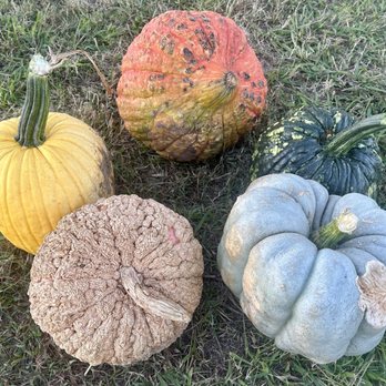 HOLDER HILL FARM - Updated December 2025 - 48 Photos & 15 Reviews ...