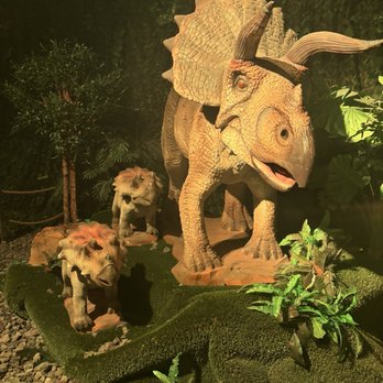 DINOS ALIVE - Updated December 2025 - 39 Photos & 13 Reviews - 31 15th ...