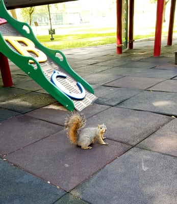 STEVENSON PARK - Updated October 2025 - 96 Photos & 22 Reviews - 1100 S ...