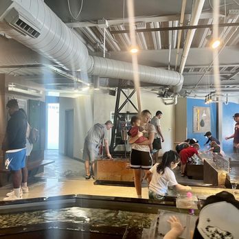 CHILDREN’S MUSEUM OF DENVER AT MARSICO CAMPUS - 332 Photos & 300 ...