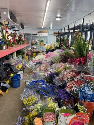 FANNIN FLOWERS - Updated October 2025 - 50 Photos & 89 Reviews - 4803 ...