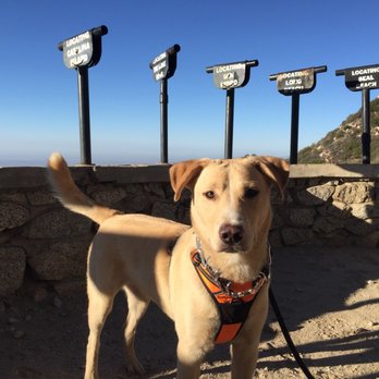 INSPIRATION POINT VIA CASTLE CANYON - Updated January 2026 - 1040 ...