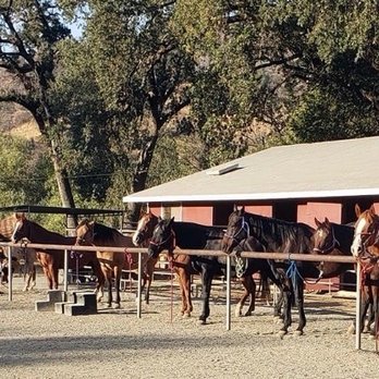 R-RANCH AT THE LAKE - Updated October 2025 - 62 Photos & 37 Reviews ...