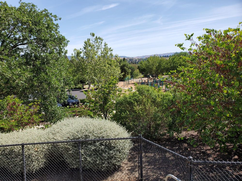 SAN RAMON MEMORIAL PARK - Updated May 2025 - 75 Photos & 55 Reviews ...