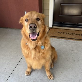 EVERYDOG - Updated August 2025 - 128 Photos & 150 Reviews - 3065 ...