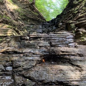 CHESTNUT RIDGE PARK - 168 Photos & 58 Reviews - 6121 Chestnut Ridge Rd ...