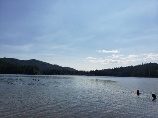 LAKE SELMAC COUNTY PARK - Updated December 2024 - 14 Photos & 12 ...