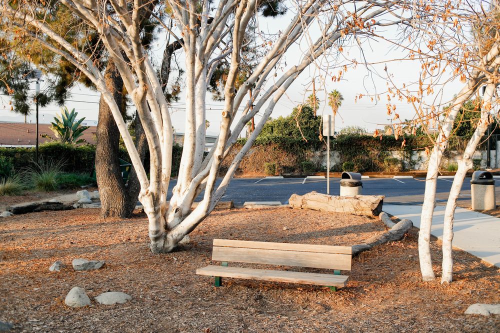 WALNUT CREEK NATURE PARK - Updated December 2024 - 72 Photos & 11 ...