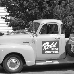 Redd Pest Solutions Reviews | Read Customer Service Reviews of ...