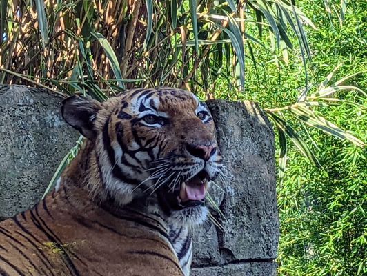 ZOO KNOXVILLE - 402 Photos & 144 Reviews - 3500 Knoxville Zoo Dr ...