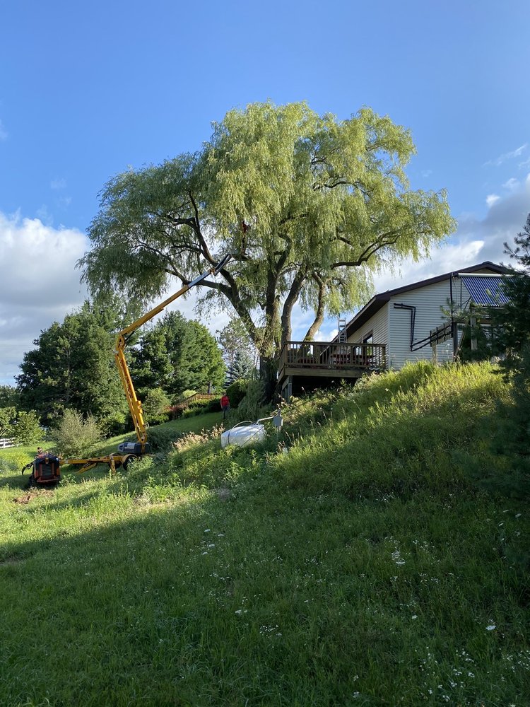 HAMMOND TREE SERVICE - Traverse City, MI - Yelp