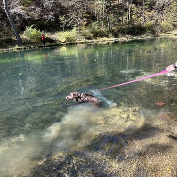 MARAMEC SPRING PARK - Updated December 2025 - 93 Photos & 23 Reviews ...