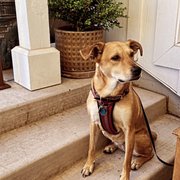 PERENN - RANCHARRAH - 911 Photos & 328 Reviews - 7700 Rancharrah Pkwy ...