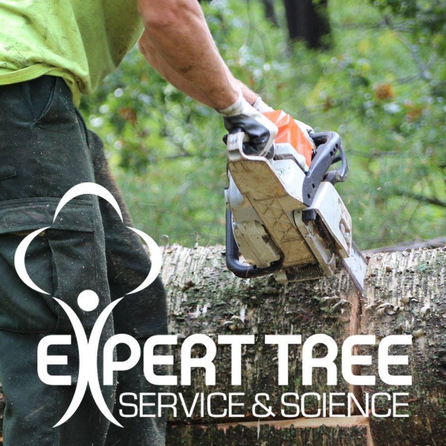 EXPERT TREE - Updated April 2025 - 36 Photos - 633 County Road T ...