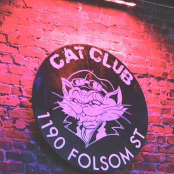 CAT CLUB - Updated December 2025 - 1761 Photos & 501 Reviews - 1190 ...