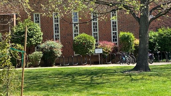 SACRAMENTO PUBLIC LIBRARY - MCKINLEY - Updated January 2026 - 36 Photos ...