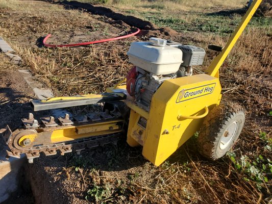 ALEXANDER’S GARDEN SERVICES - Updated January 2026 - 69 Photos & 17 ...