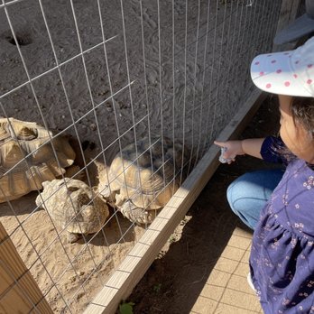 BAYOU WILDLIFE ZOO - Updated January 2026 - 349 Photos & 155 Reviews ...