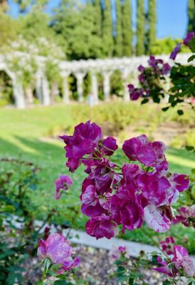 LACY PARK - Updated March 2025 - 780 Photos & 319 Reviews - 1485 ...