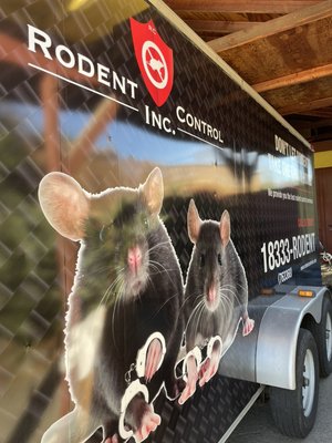 RODENT CONTROL - Updated January 2026 - 235 Photos & 406 Reviews - 5455 ...